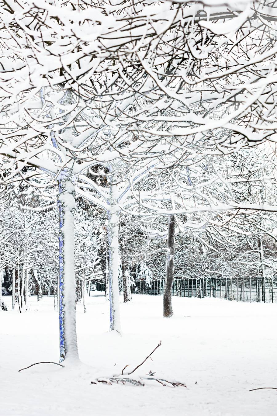 Hélène Hubert | Nature’s Signature | Art Trope Gallery