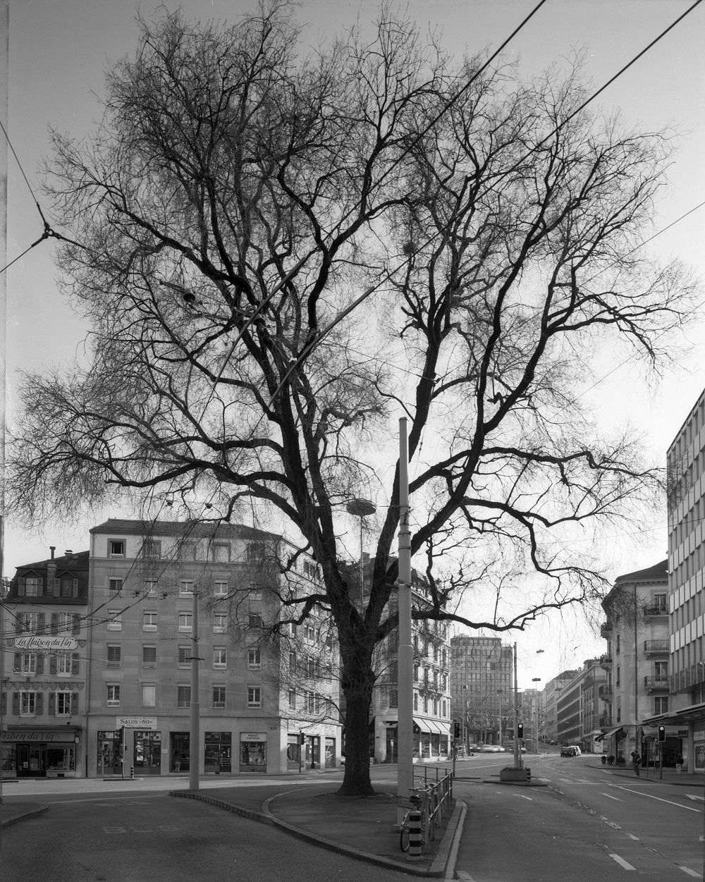 Photographer | Charles Weber | Art Trope Gallery