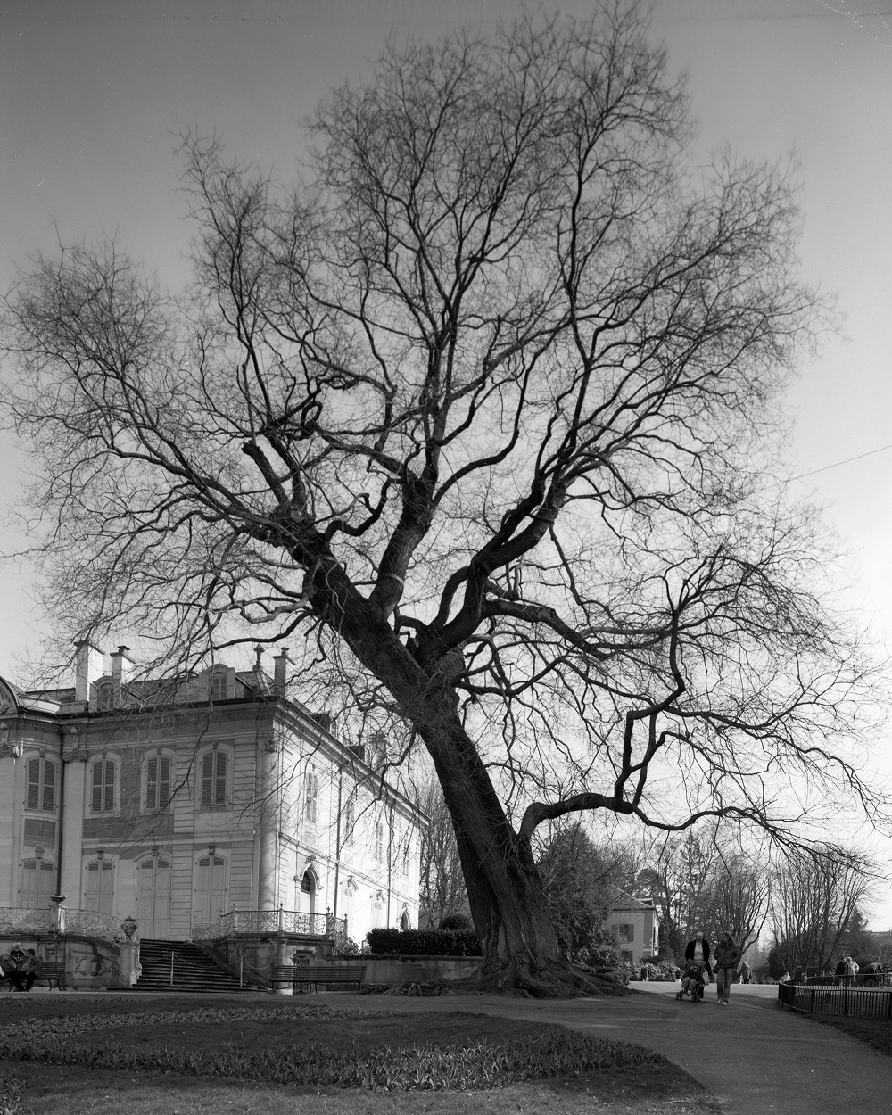 Photographer | Charles Weber | Art Trope Gallery