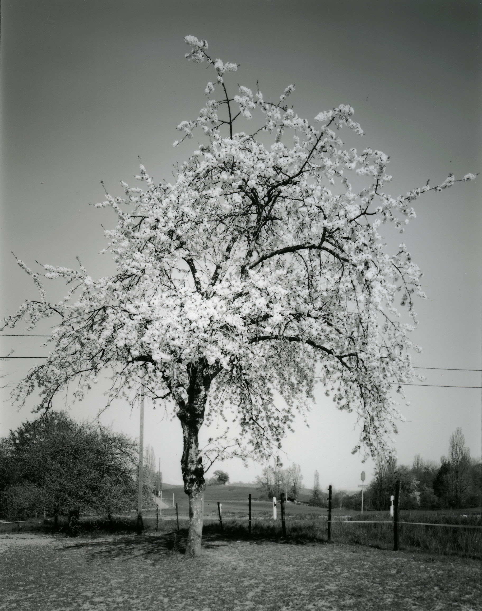 Photographer | Charles Weber | Art Trope Gallery