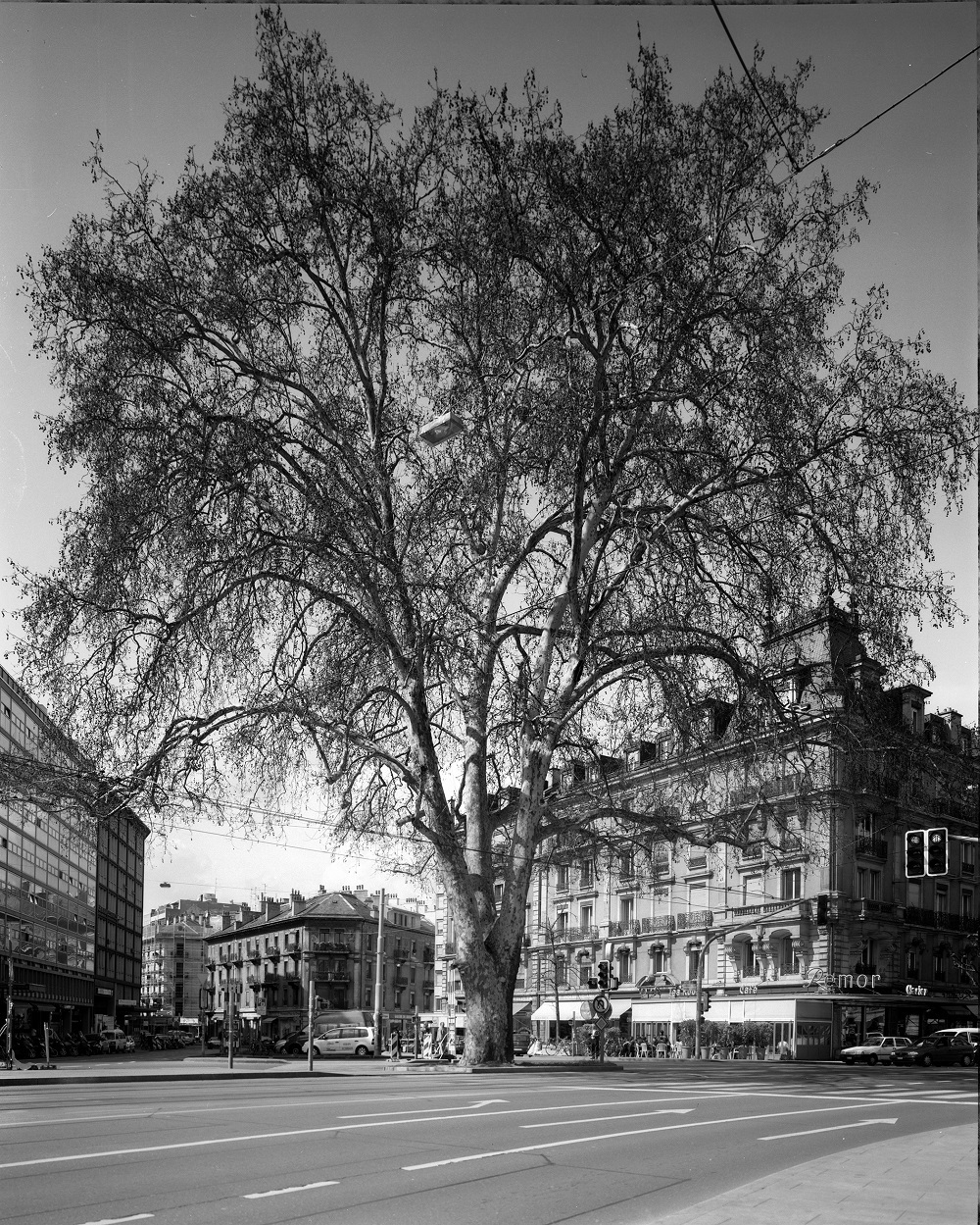 Photographer | Charles Weber | Art Trope Gallery