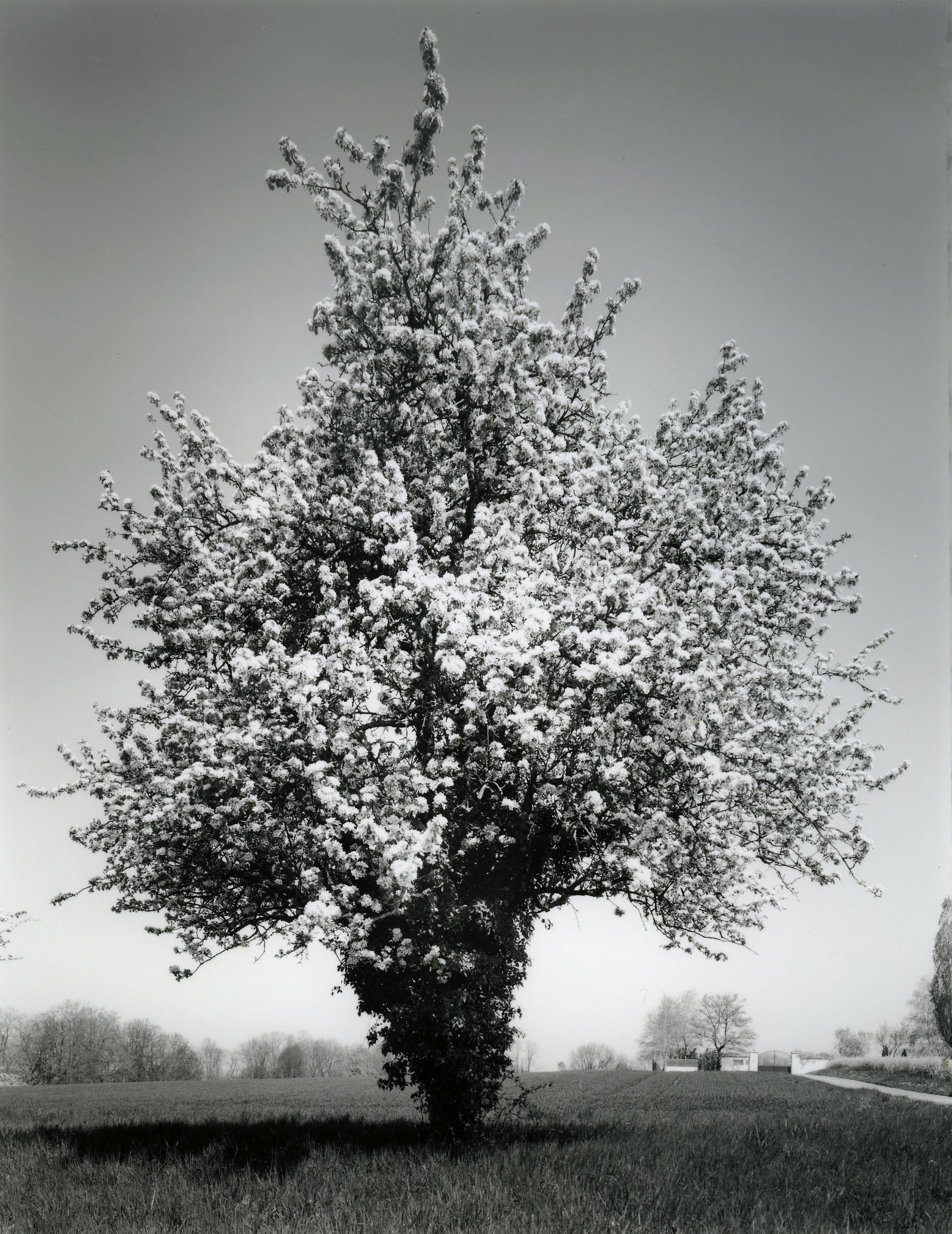 Photographer | Charles Weber | Art Trope Gallery